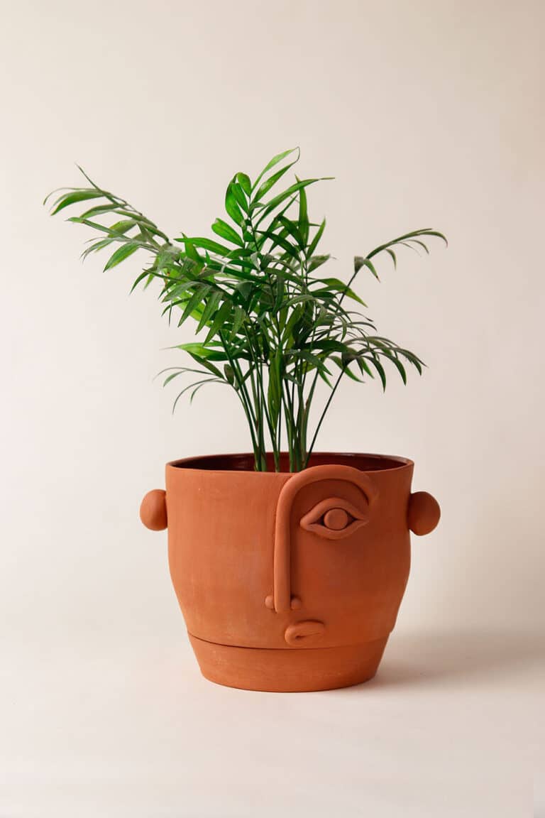 Cache pot visage en terre cuite
